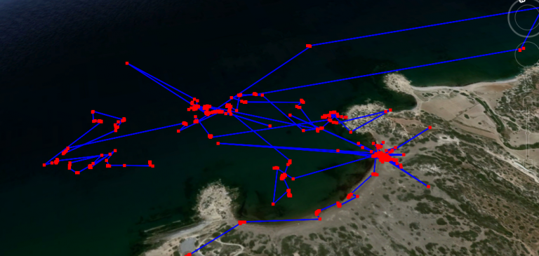 Sea Turtle Tracking and Telemetry - ICOTEQ - Electronics and Software ...